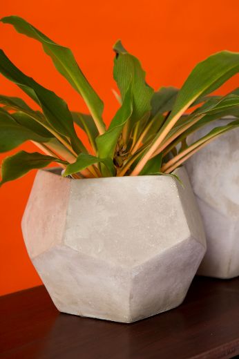 Quartz Planter – TPG
